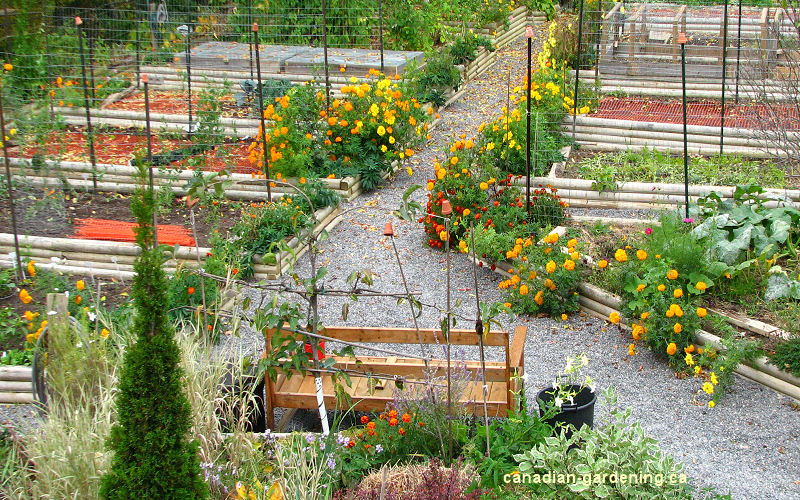 Gardening in Canada? Tips & Tools for Cold-Climate Gardeners